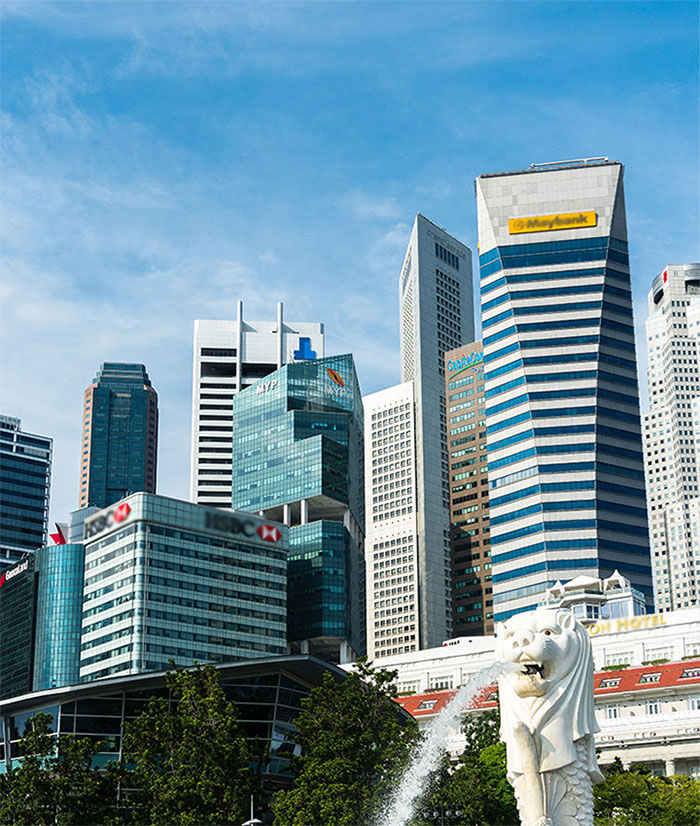 Work Process - Software & IT Solutions HTML Template